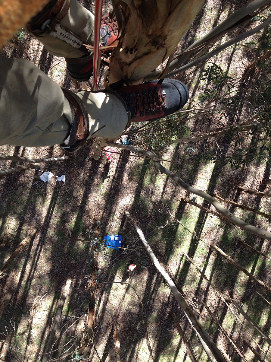 Wildlife Capture & Handling - EcoPlan AustraliaEcoPlan Australia